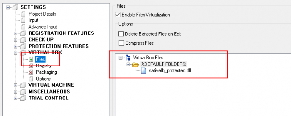 Strong Protection of .NET applications with Enigma Protector